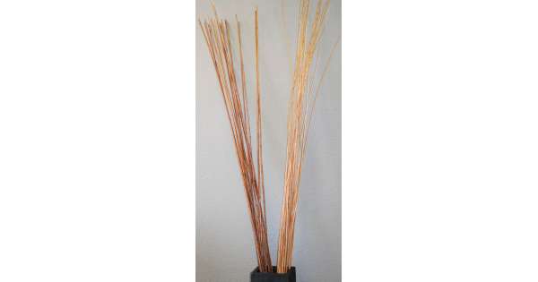 Long Willow Branches, Tall Willow Sticks, Long Willow