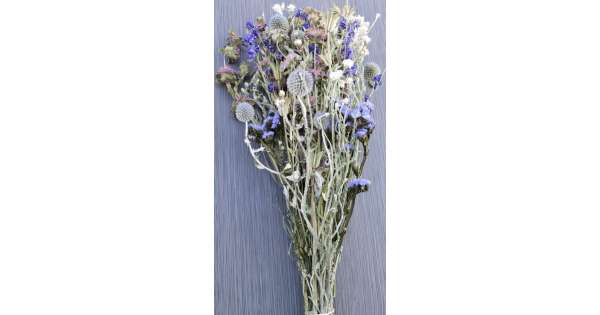Dried Blue Flowers | Dried Flower Bouquets for Sale