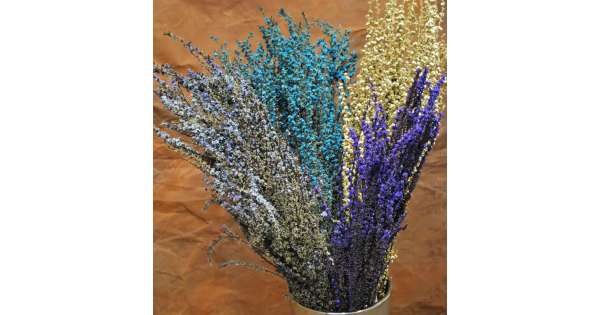 Dried Ti Tree Bunches - Great flower and filler