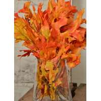 dried oak leaf branches